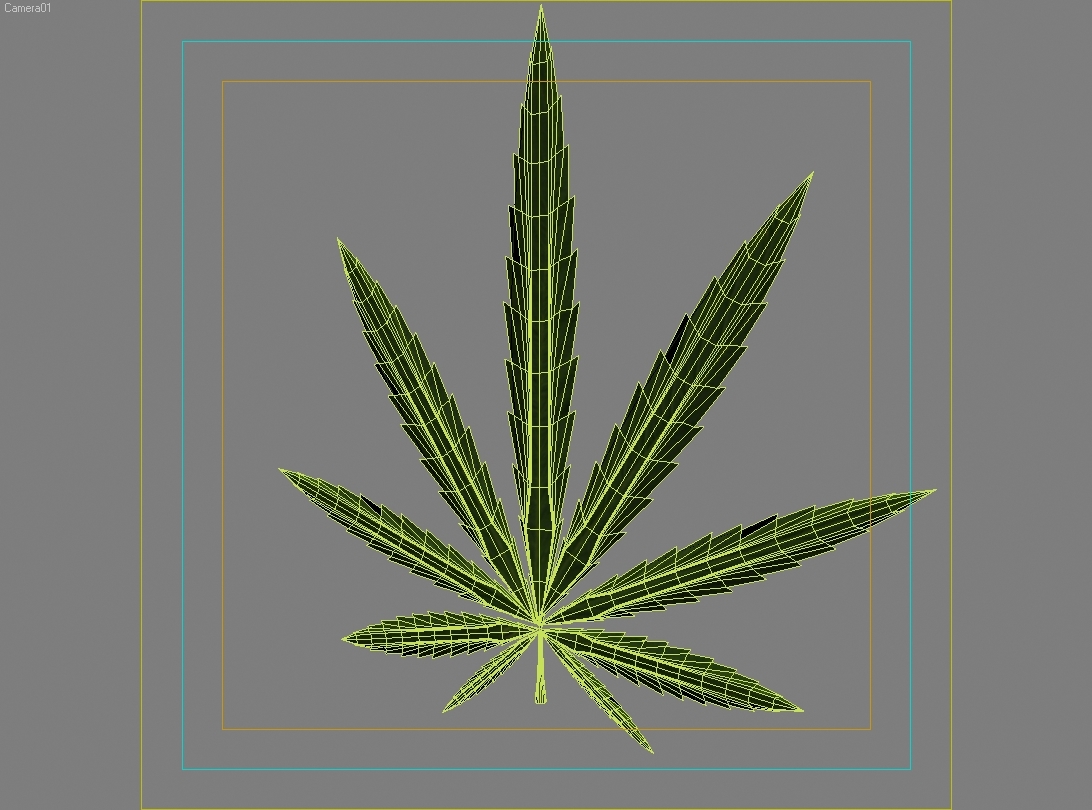 3d weed
