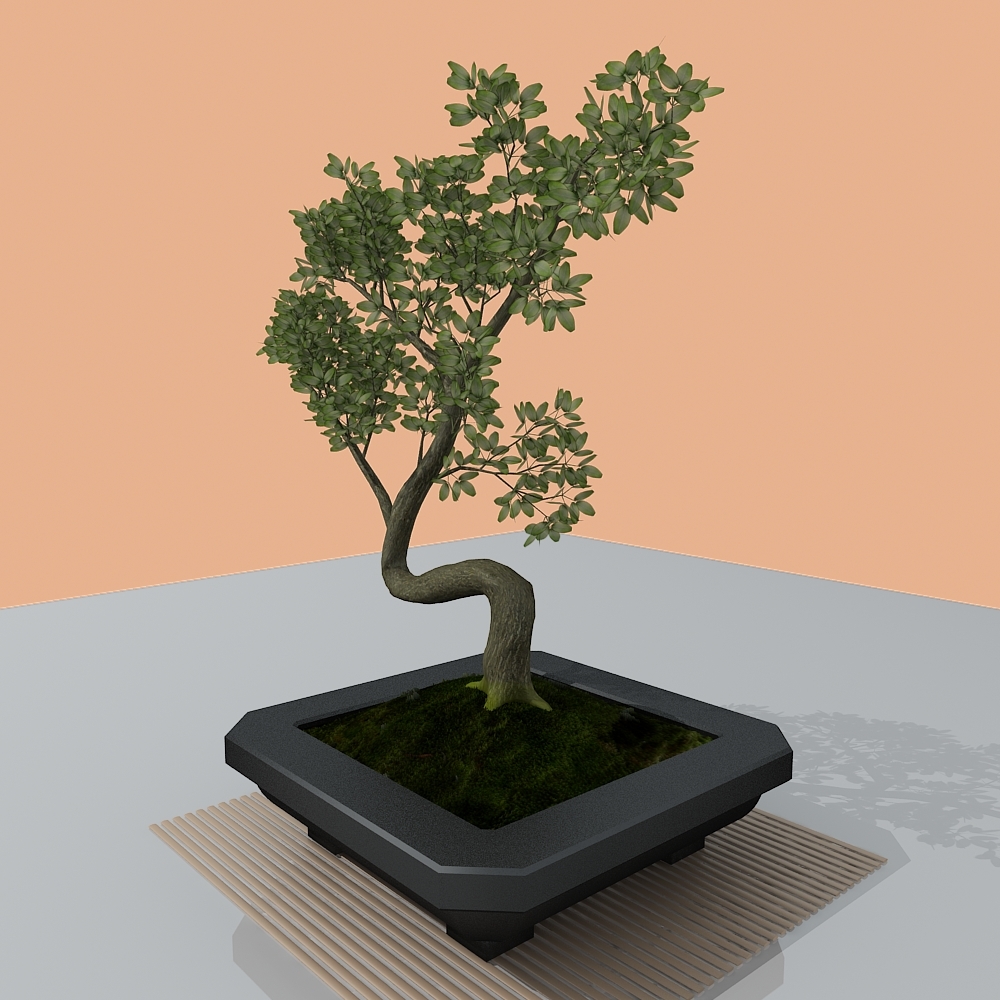 3d model bonsai tree