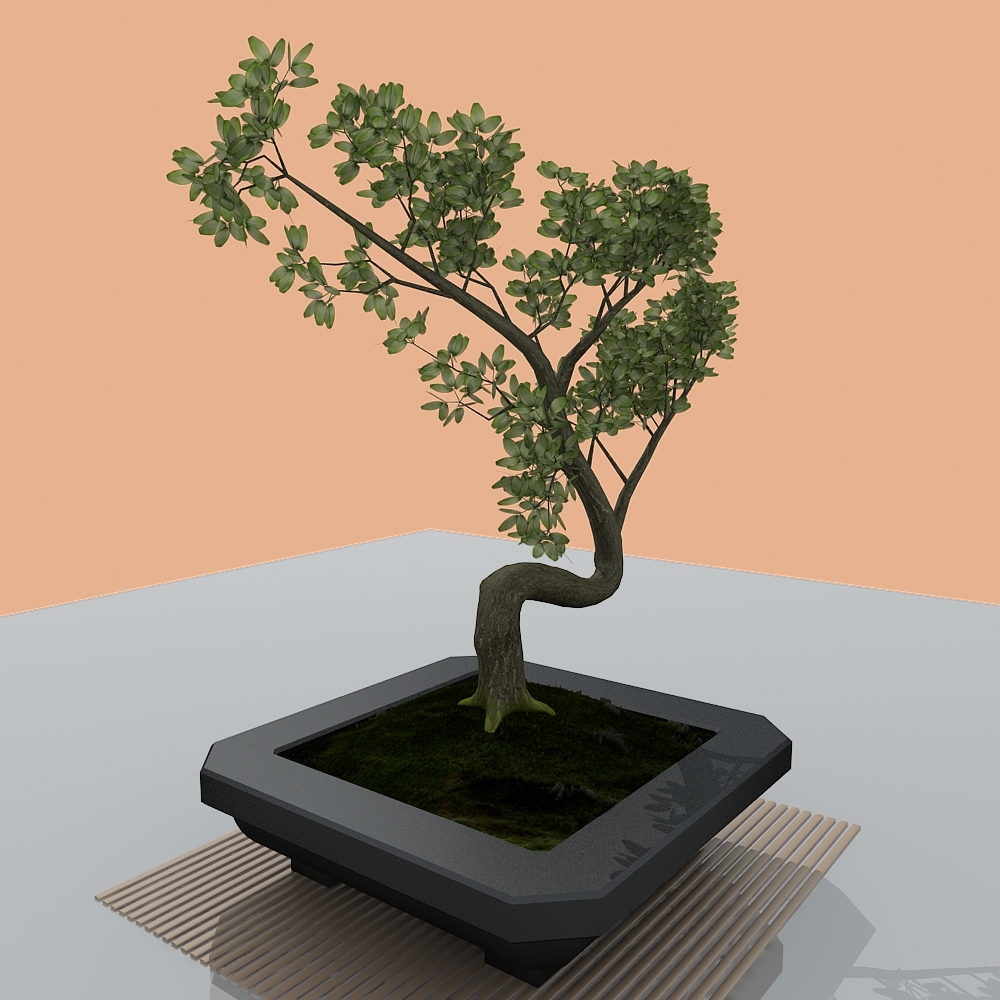 3d model bonsai tree