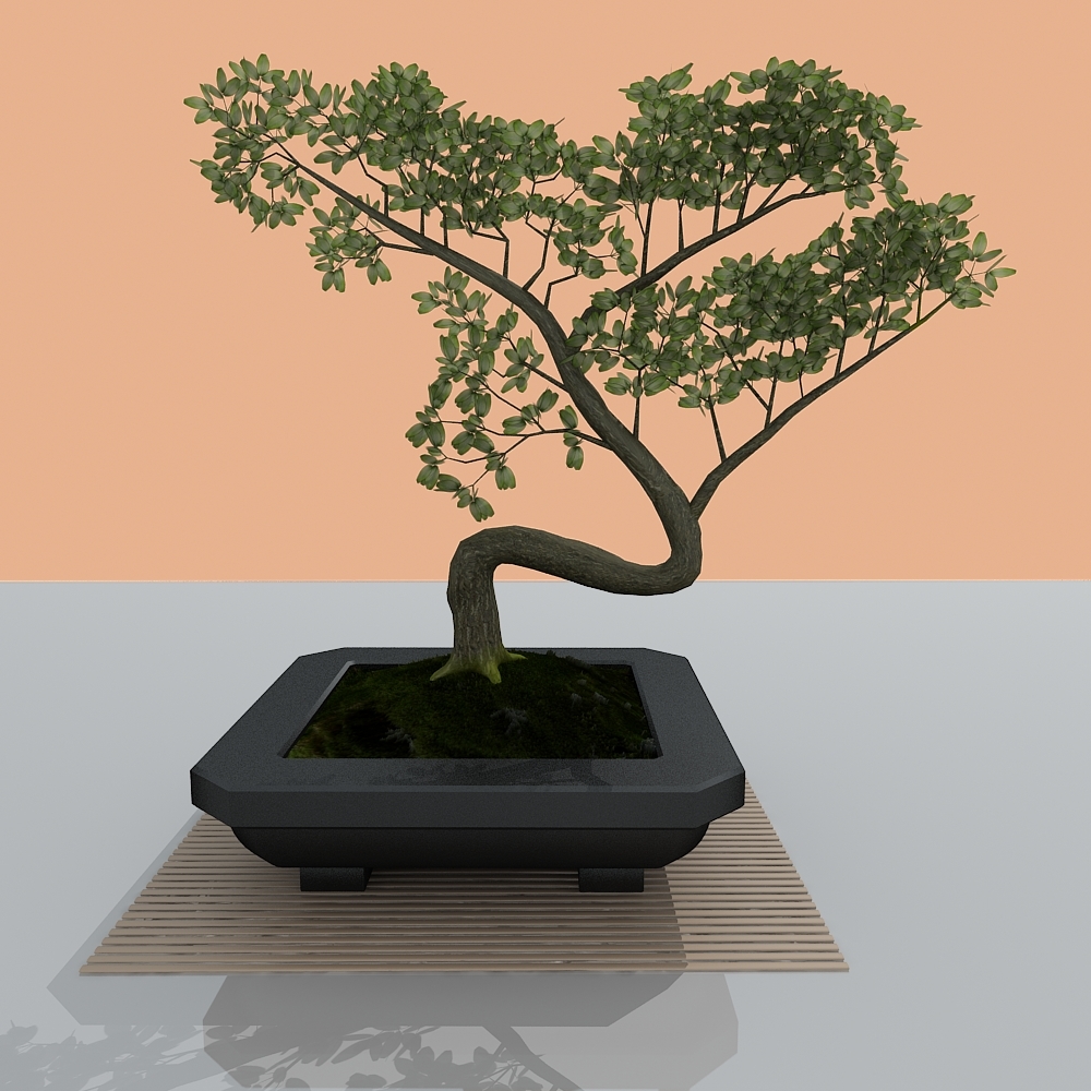 3d model bonsai tree