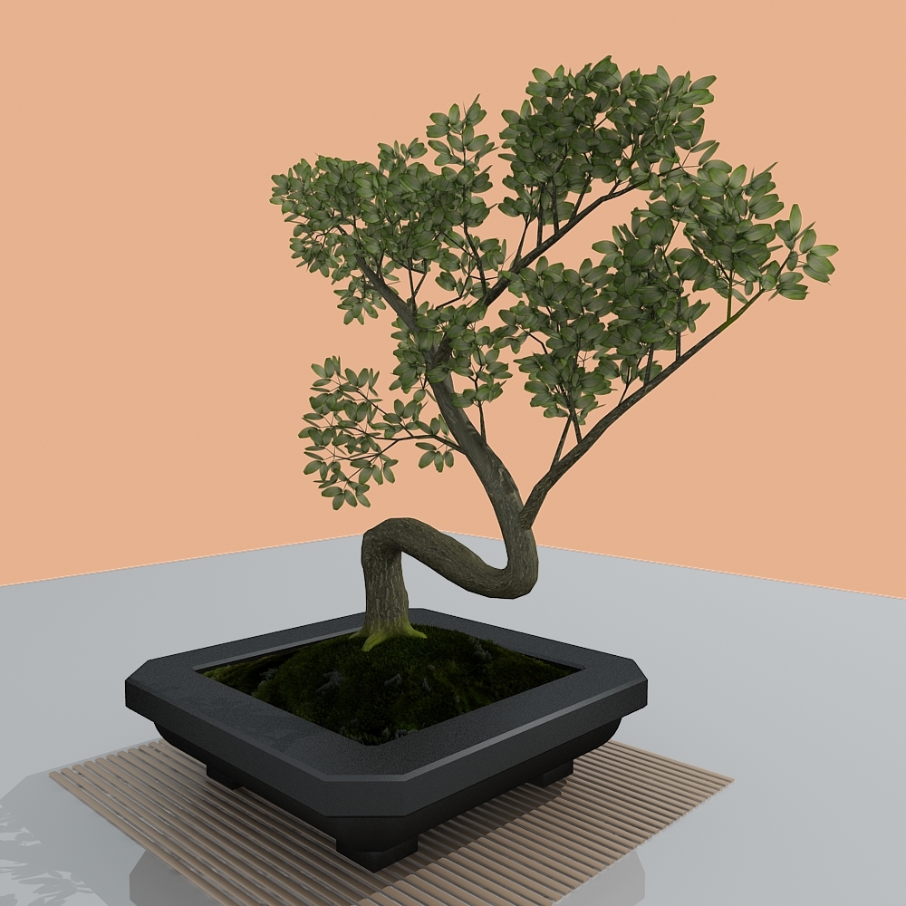 3d model bonsai tree