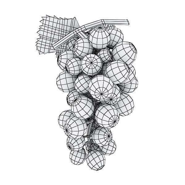 red grapes resolution 3ds