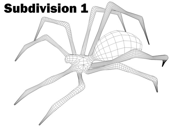 basic mesh spider 3d model