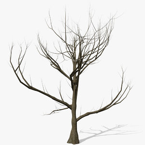small tree 3d model