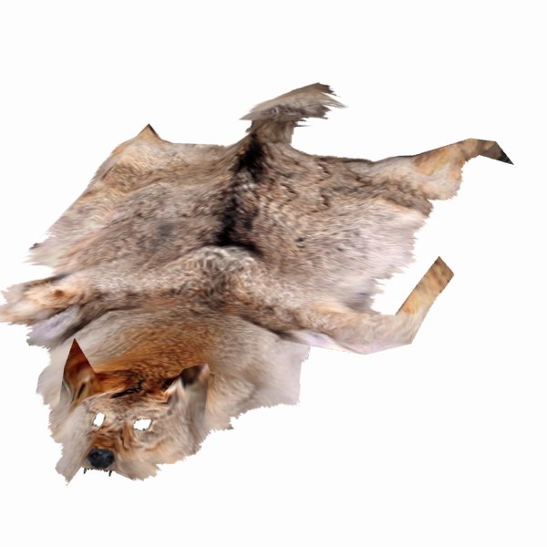 3d model wolf pelt