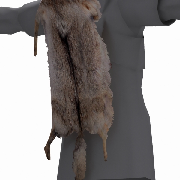 3d model wolf pelt