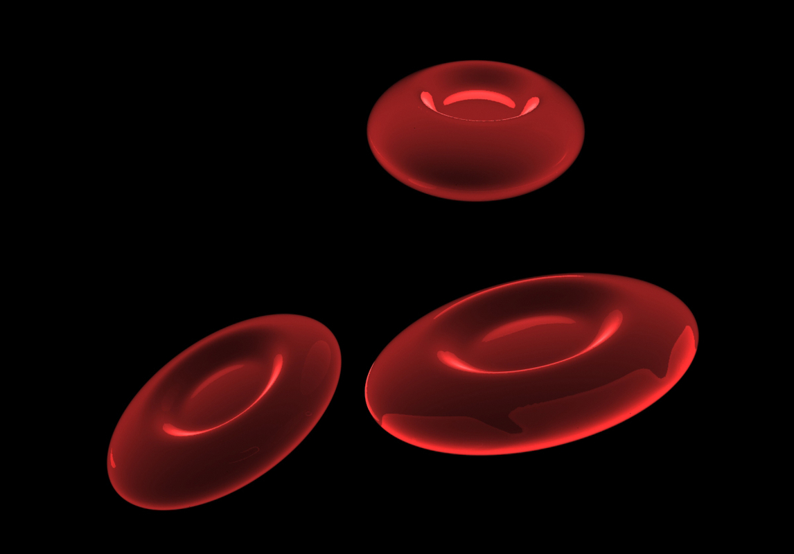 Free Red Blood Cell 3D Models for Download | TurboSquid