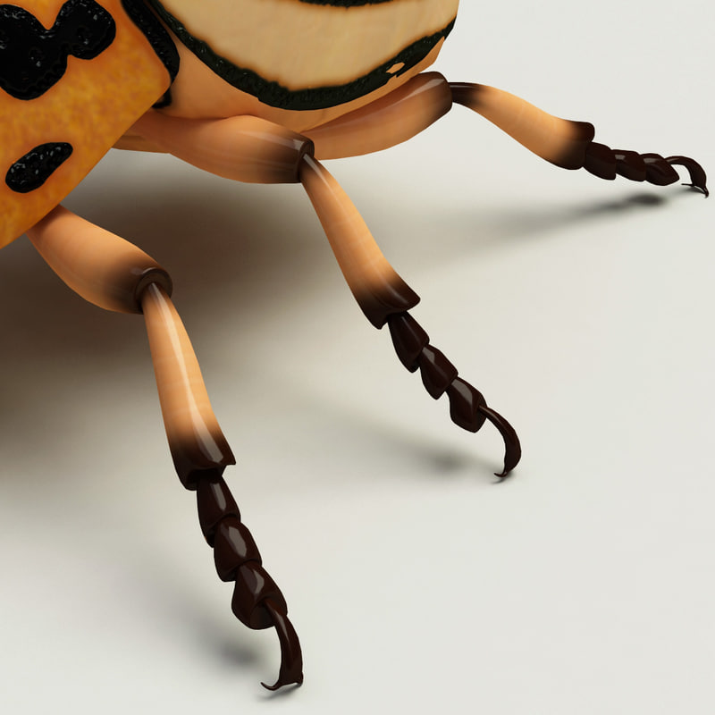 insects v3 3d model