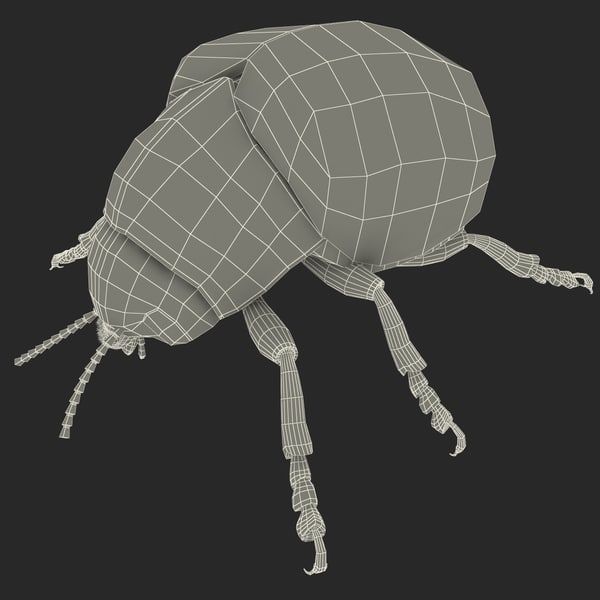 insects v3 3d model