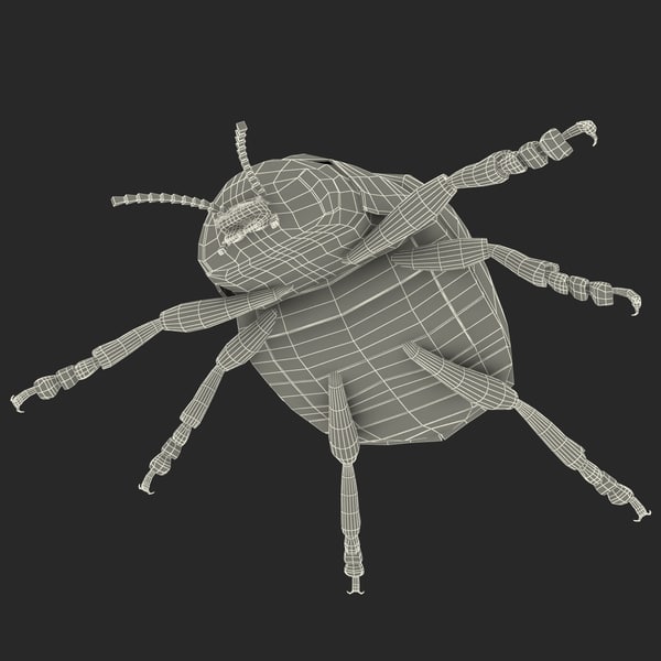 insects v3 3d model