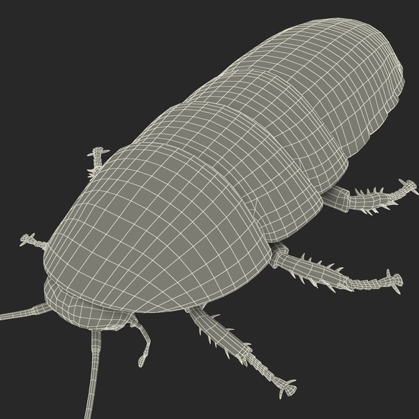 insects v3 3d model