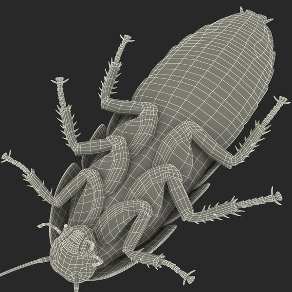 insects v3 3d model