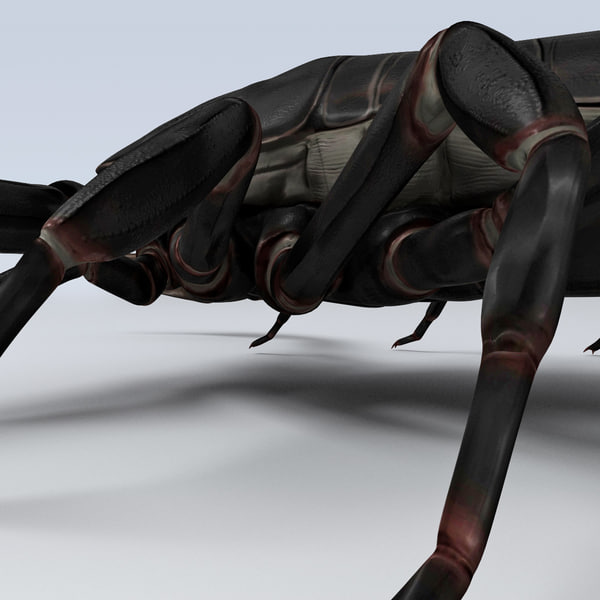 insects v3 3d model