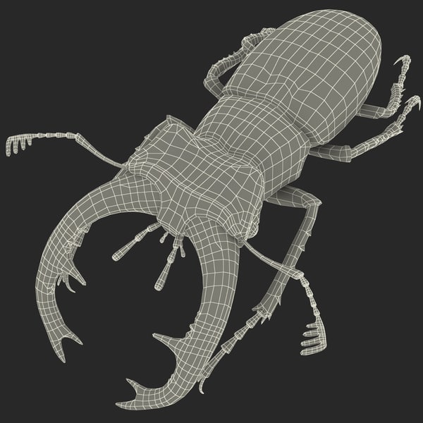 insects v3 3d model