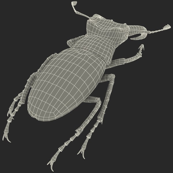 insects v6 3d model