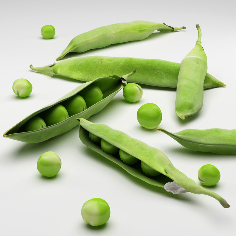 3d model peas