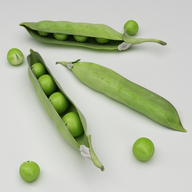 3d model peas