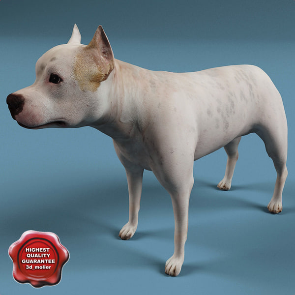 dogs set shepherd max