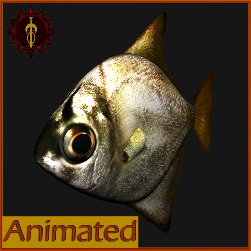 max realistic rigged fish