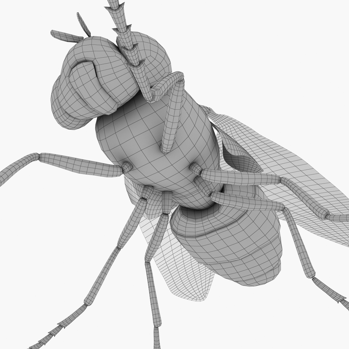 fly bug housefly 3d max