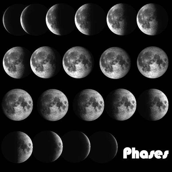 moon phases 3d model