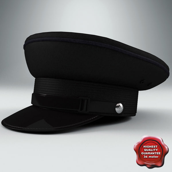 3d service cap model