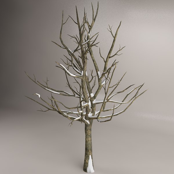 maya snow tree