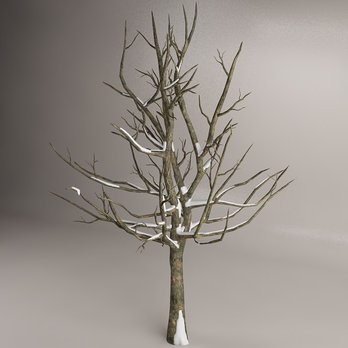 maya snow tree
