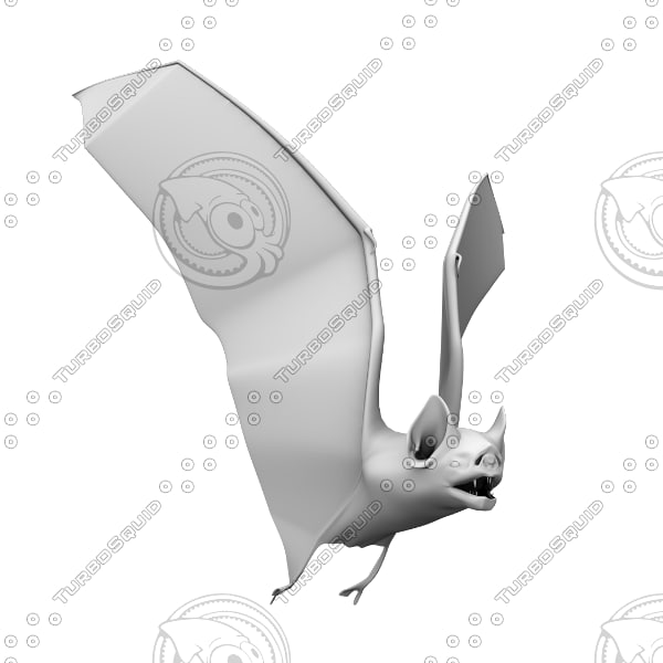 3d vampire bat model