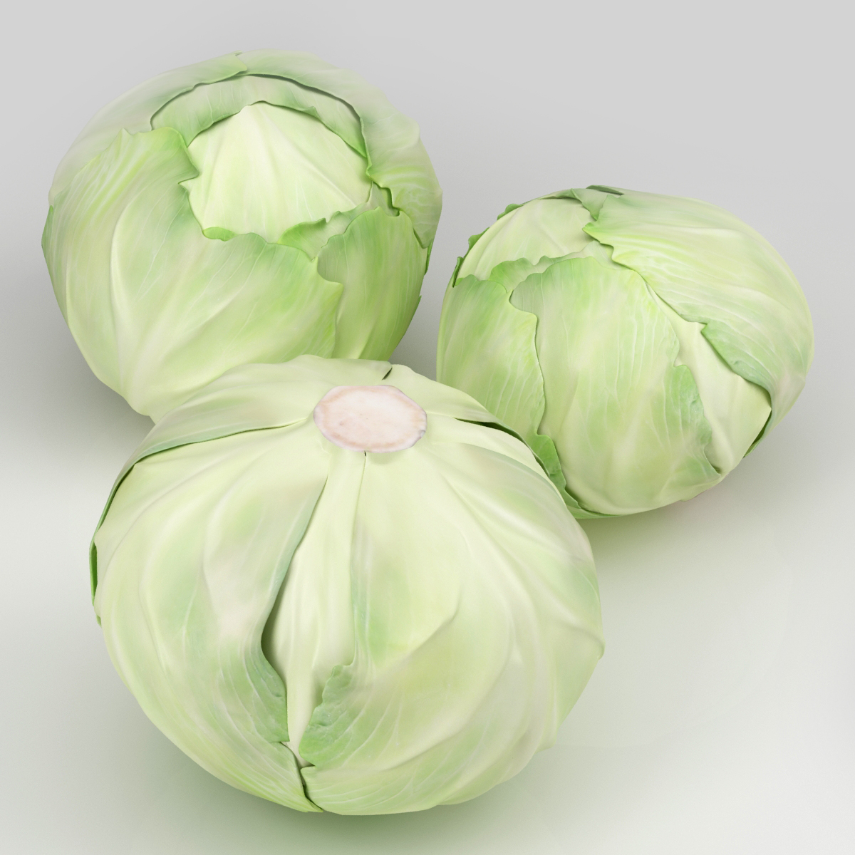 cabbage 3d max