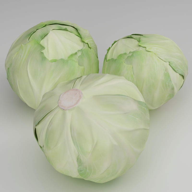 cabbage 3d max
