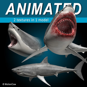 Free Blender Fish Models | TurboSquid