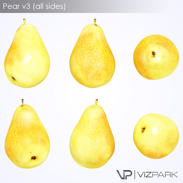 pears proxy 3d model