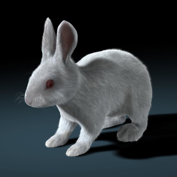 3d model rabbits fur