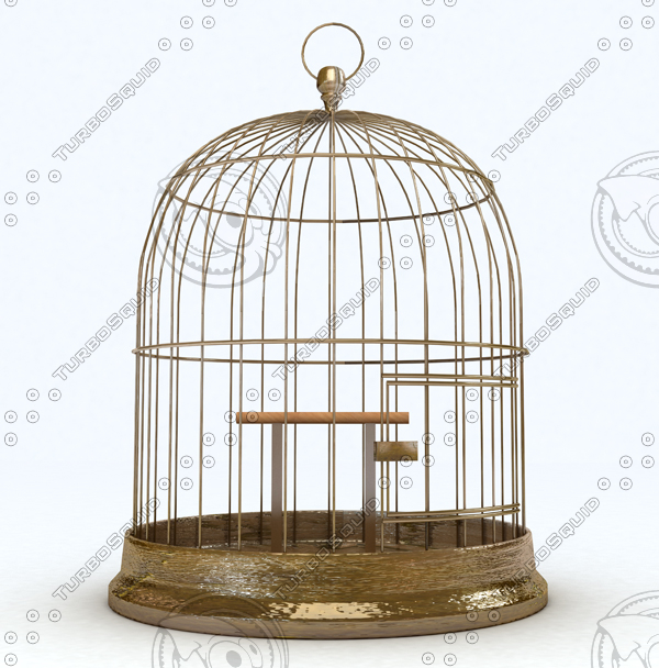 Bird Cage 3D Models for Download | TurboSquid