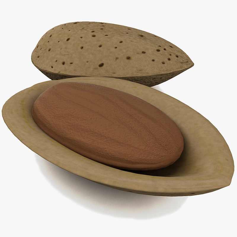 3d Almond Modelled