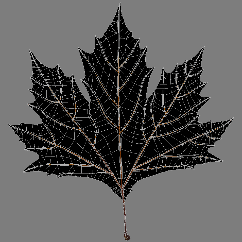 leaves maple leaf obj