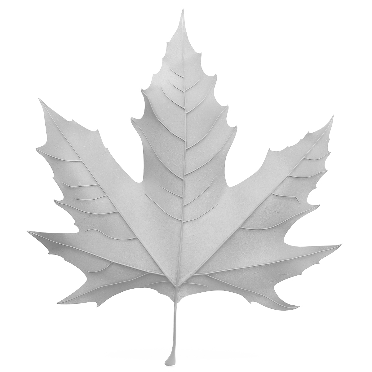 leaves maple leaf obj