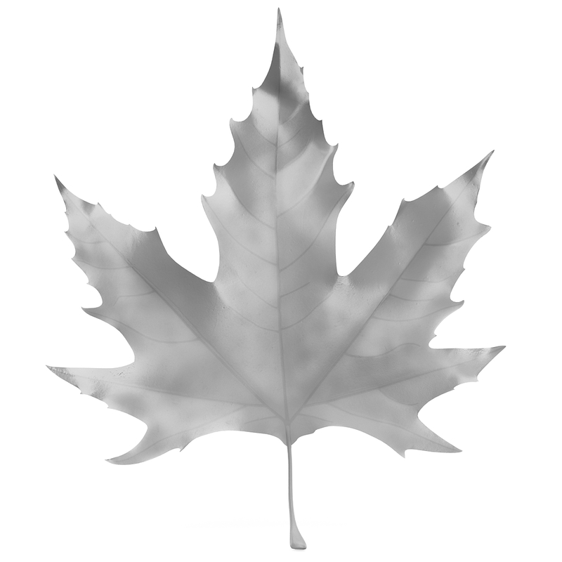 leaves maple leaf obj