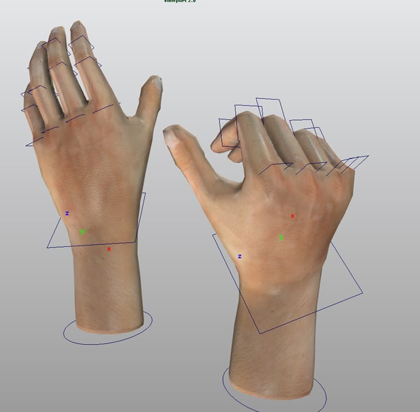 3d rigged male hand