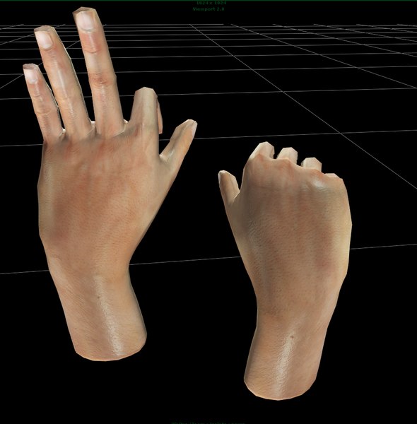 3d rigged male hand