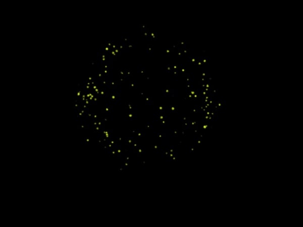 Fireworks 3D Models for Download | TurboSquid