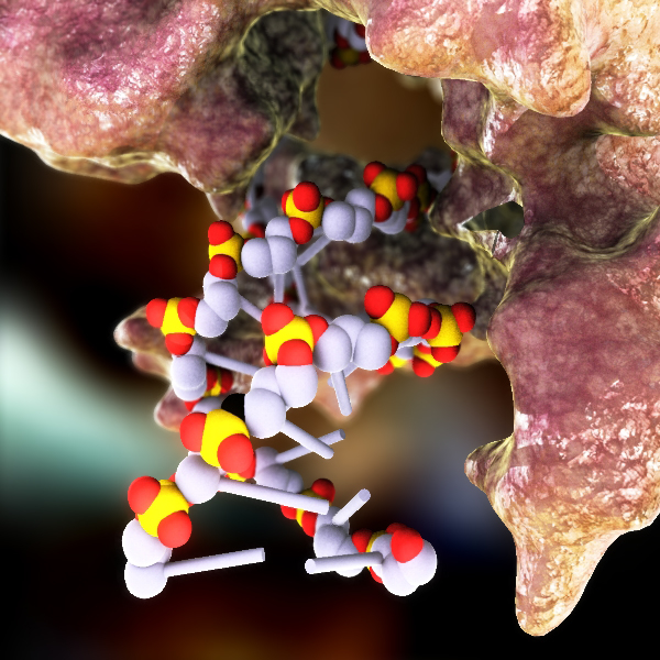 3d model rna polymerase protein