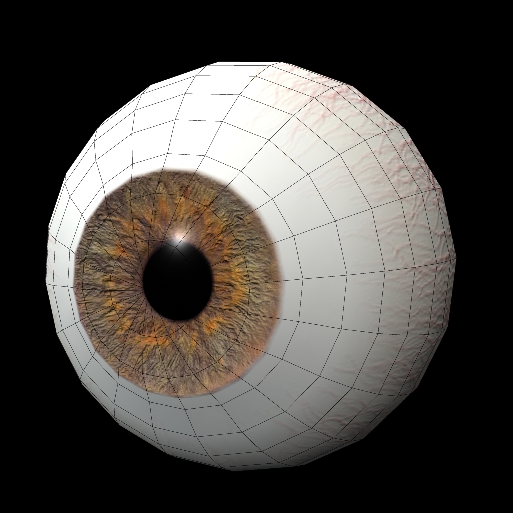 3d model eye iris