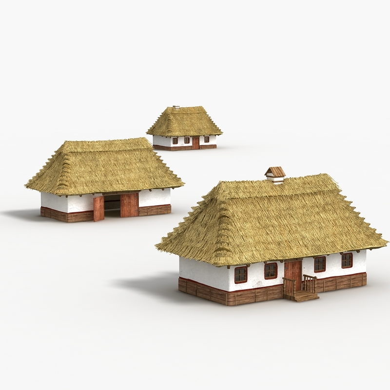 3d village houses model