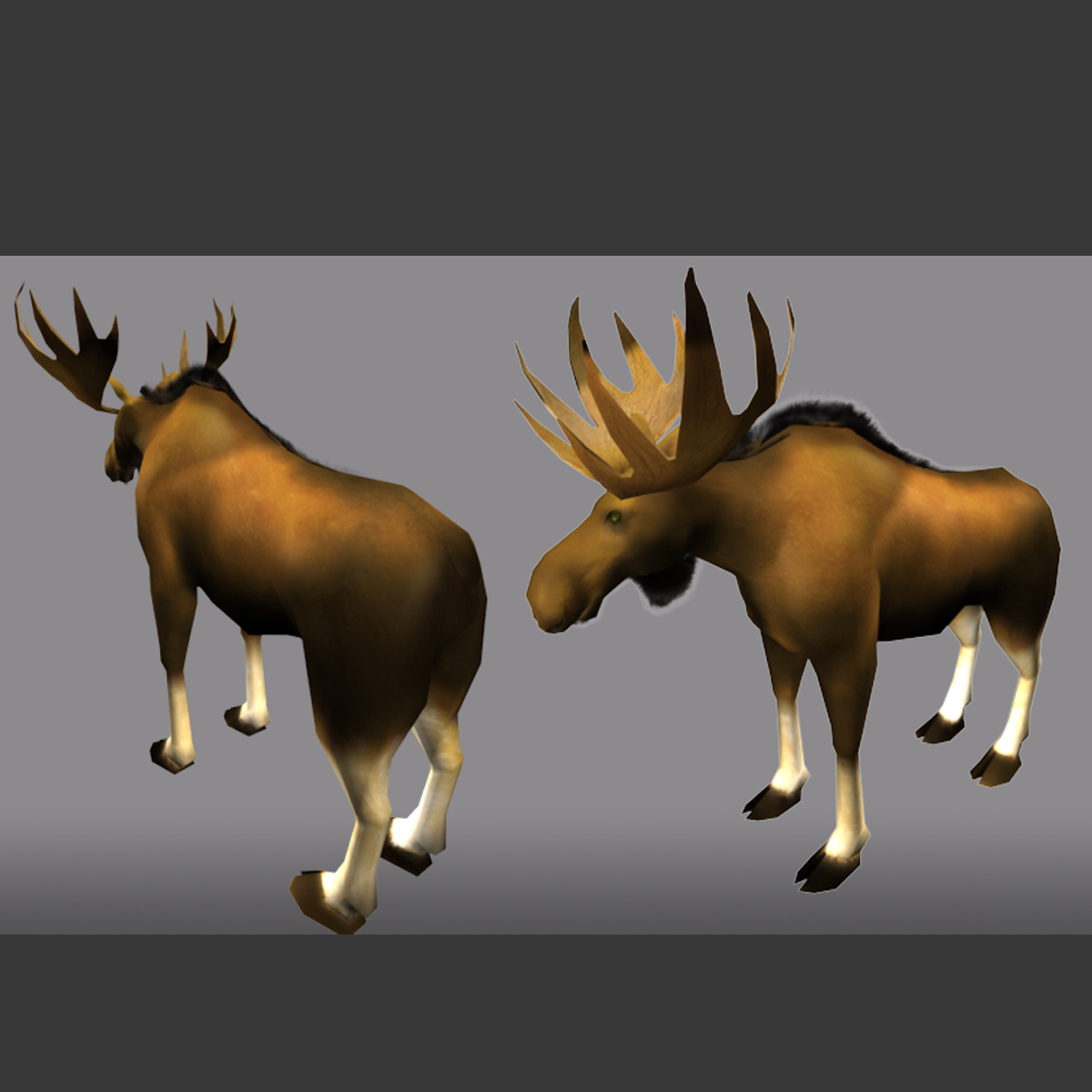 3d model of moose