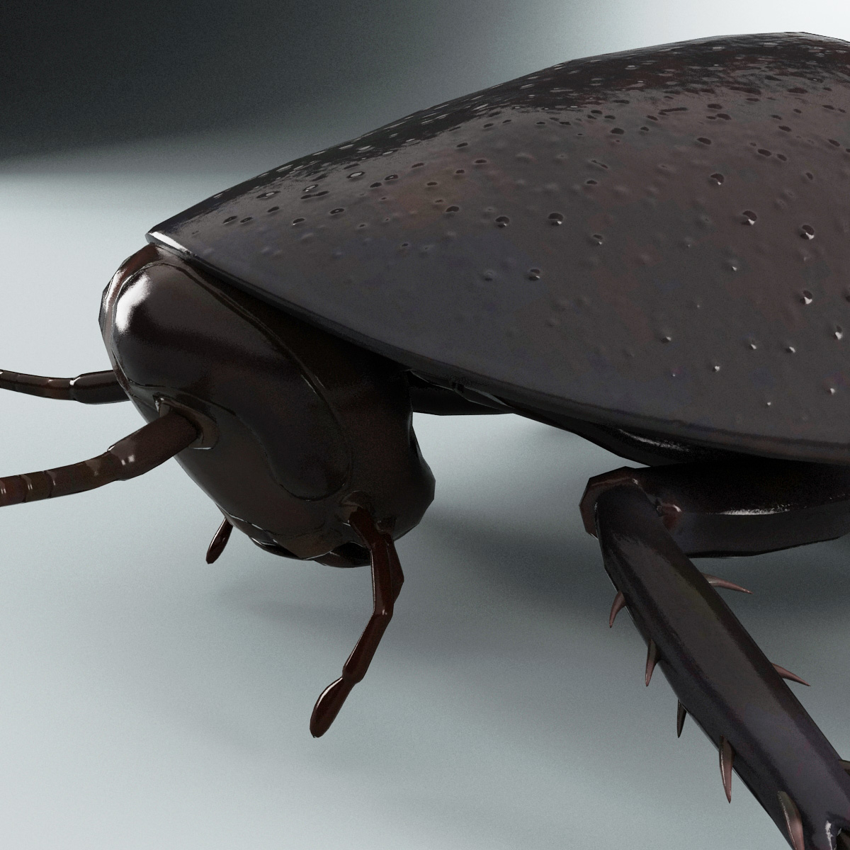 3d model bugs v3