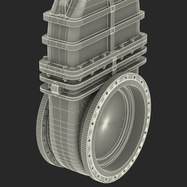 3d model of valves v2