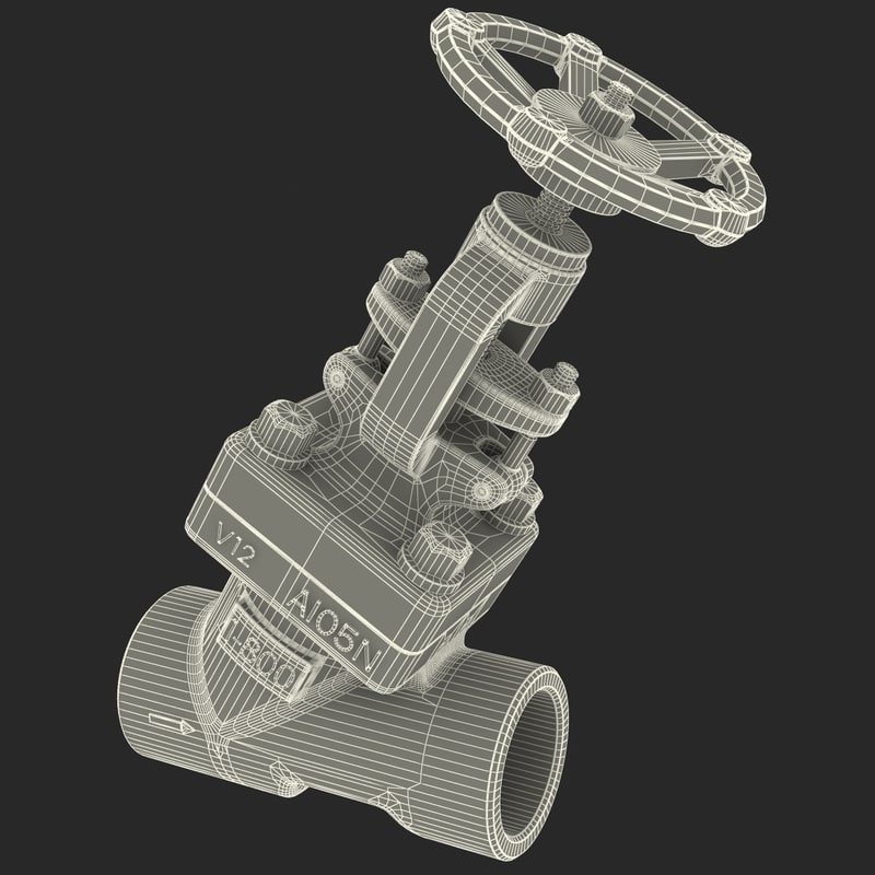 3d model of valves v2