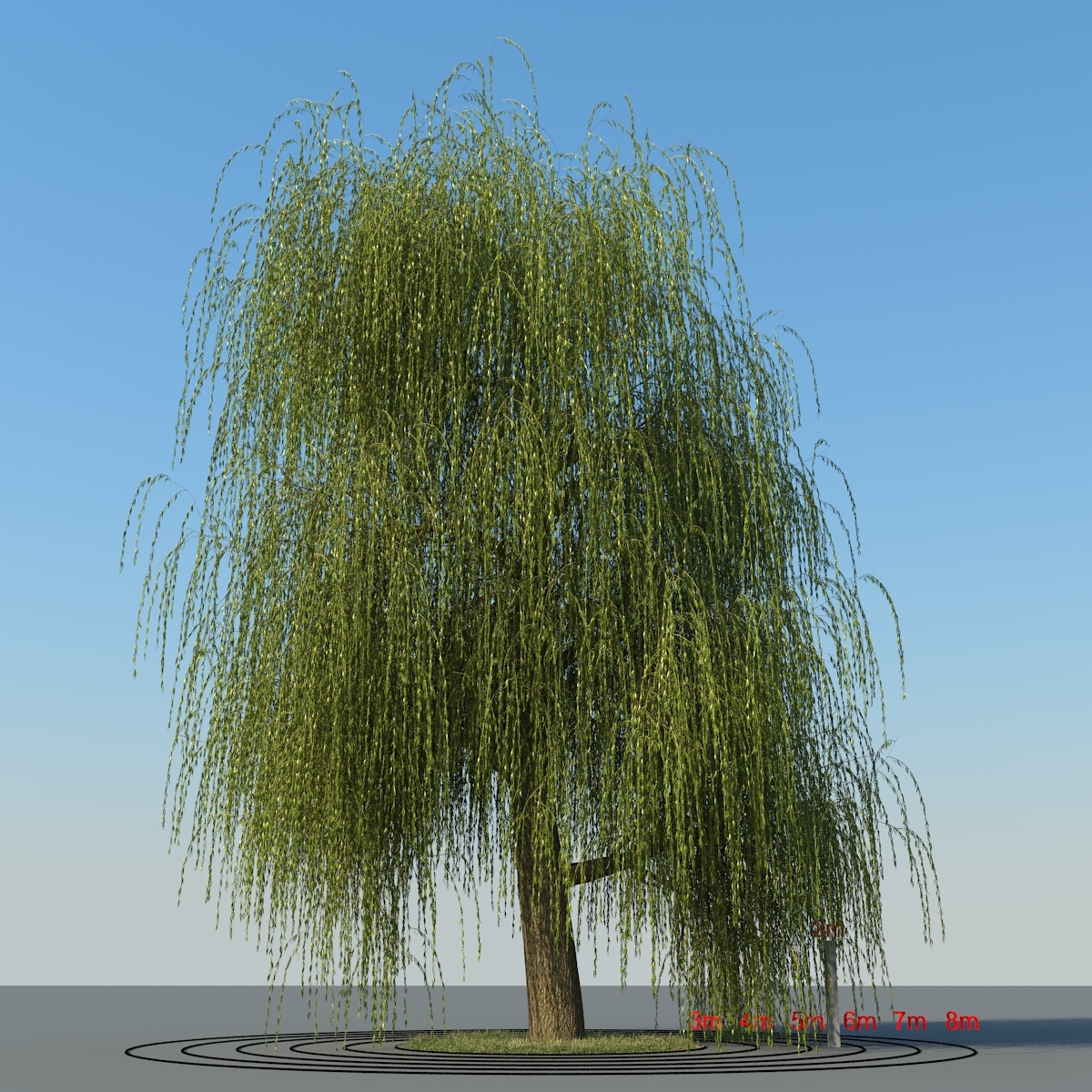 3d model willow tree